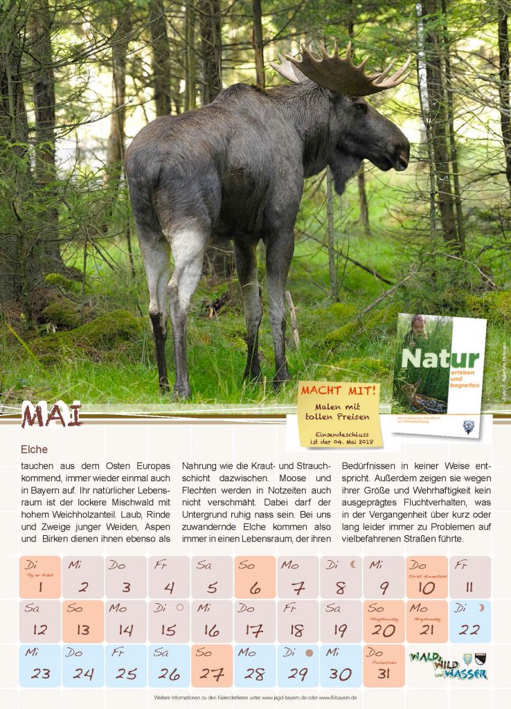 Mai: Elche - Landesfischereiverband Bayern