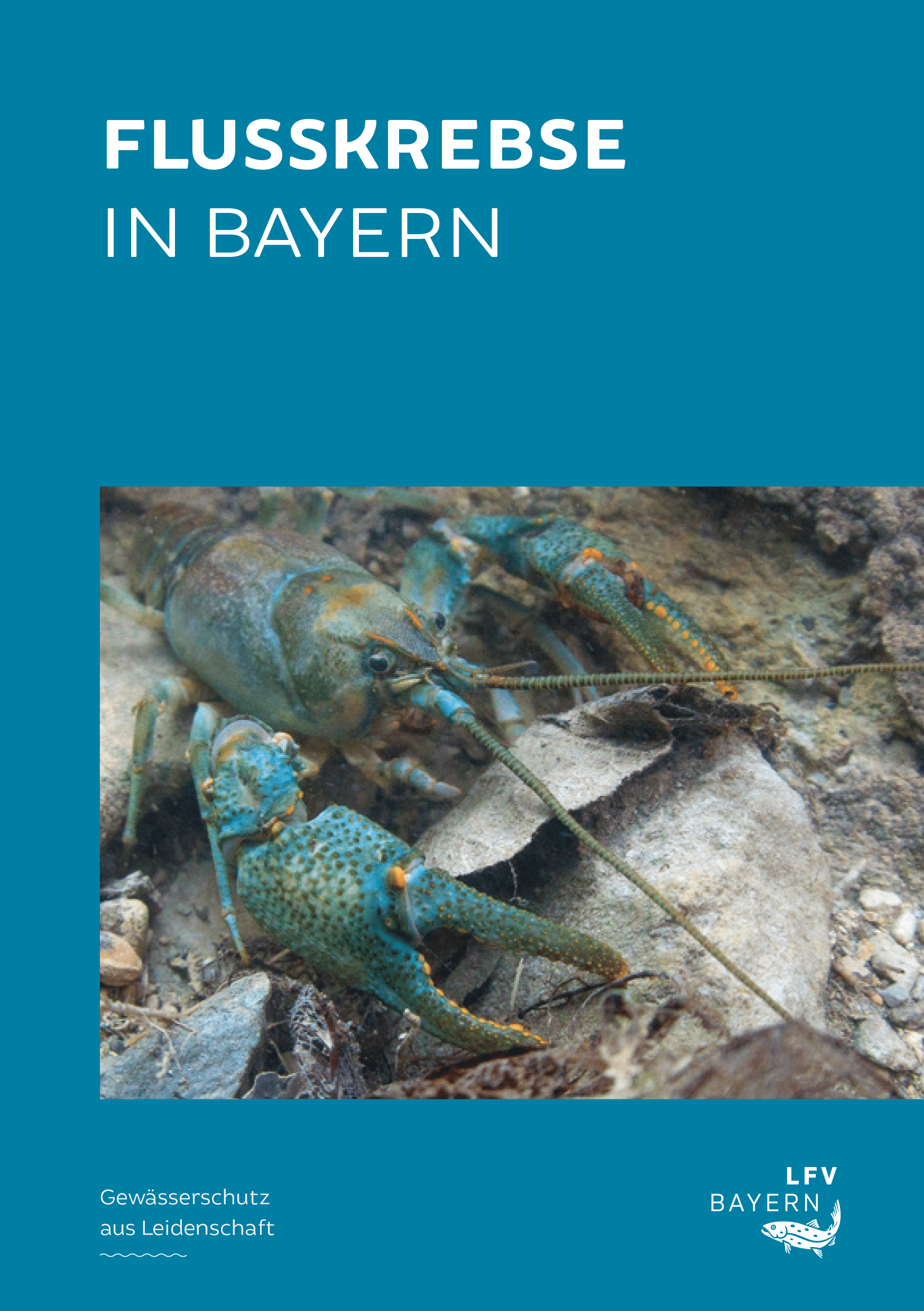Flusskrebse in Bayern - Landesfischereiverband Bayern